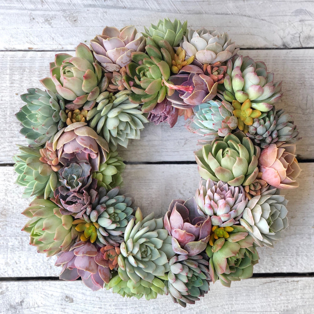 Succulent Artworks | Unique & Stunning Succulent Designs for Weddings