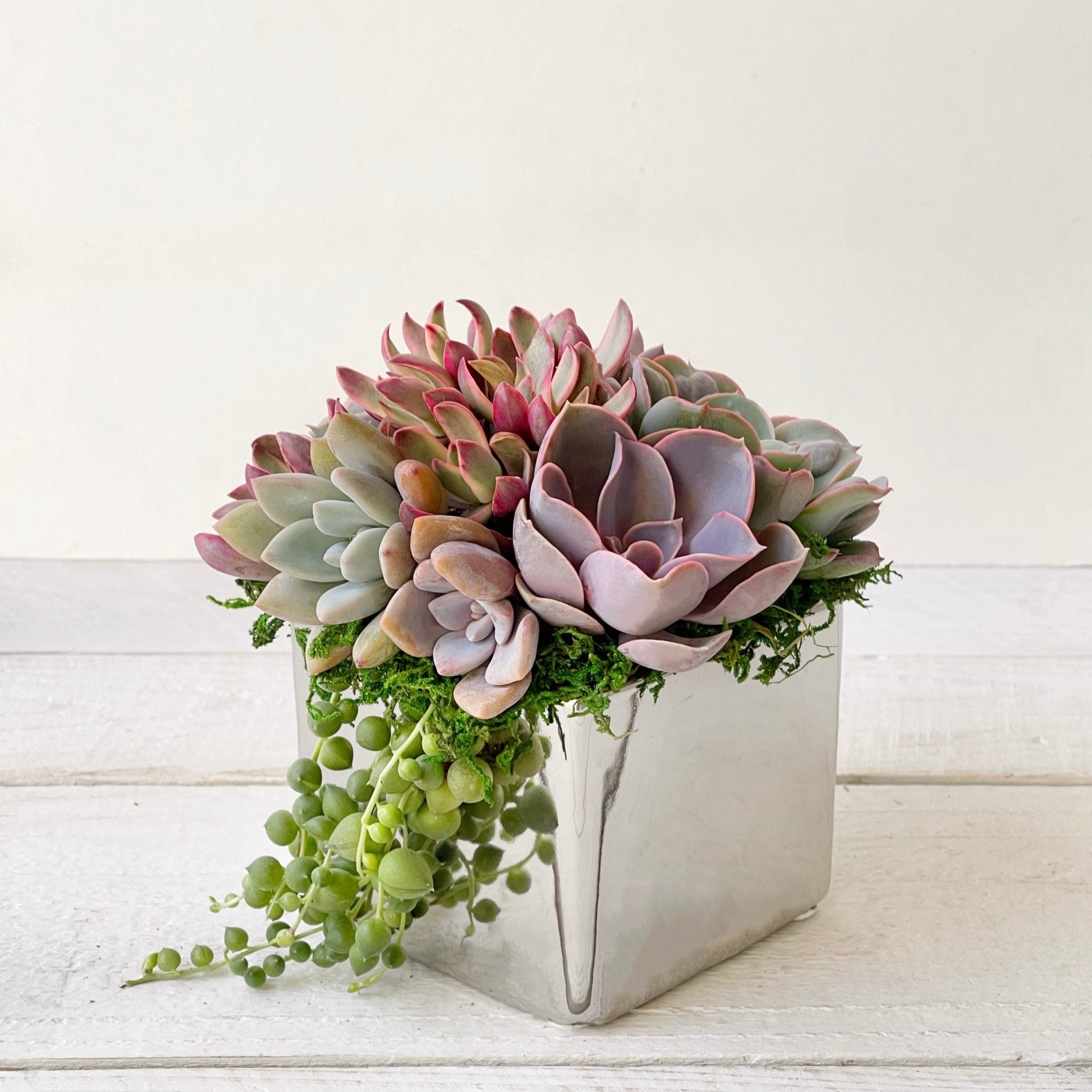 Elegant Metallic Glazed Ceramic Cube, Planted with Succulents ...