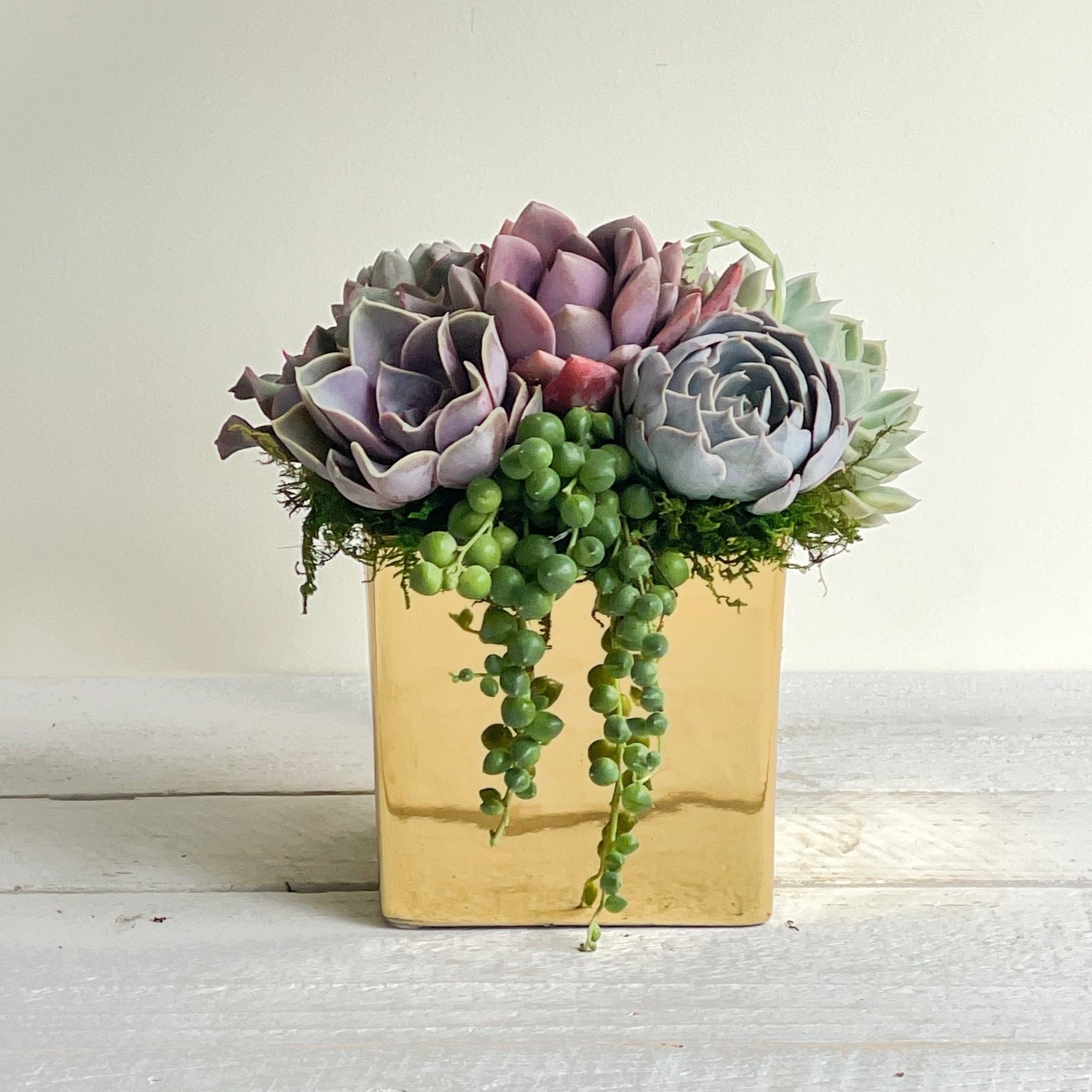 Elegant Metallic Glazed Ceramic Cube, Planted with Succulents ...