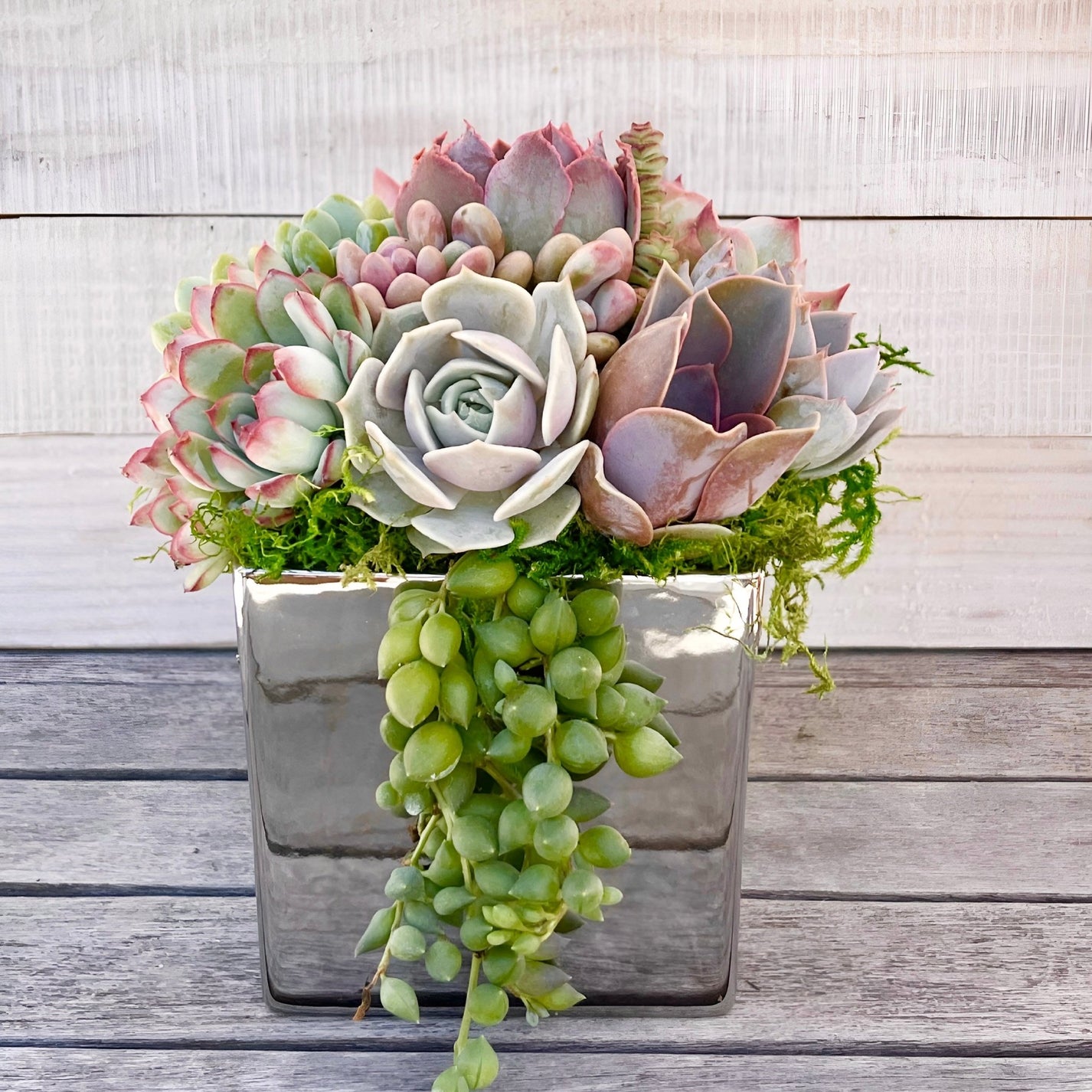 Elegant Metallic Glazed Ceramic Cube, Planted with Succulents ...