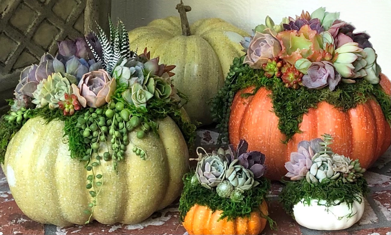 Succulent Artworks, SucculentArtworks.com,
