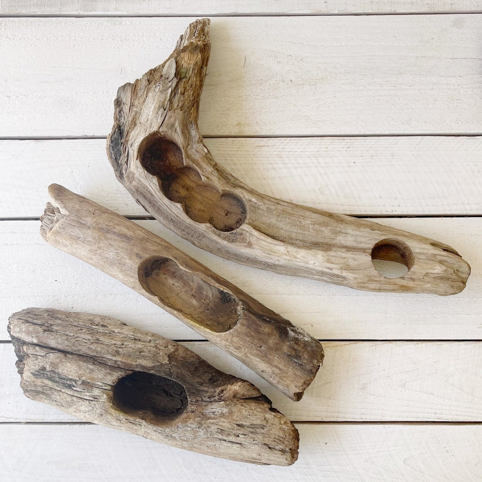 Unplanted Natural Driftwood Planter – Succulent Artworks
