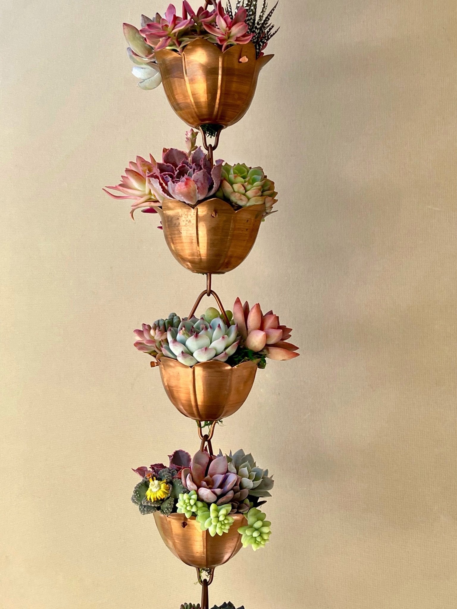 Copper Rain Chain Planted With Succulents – Succulent Artworks