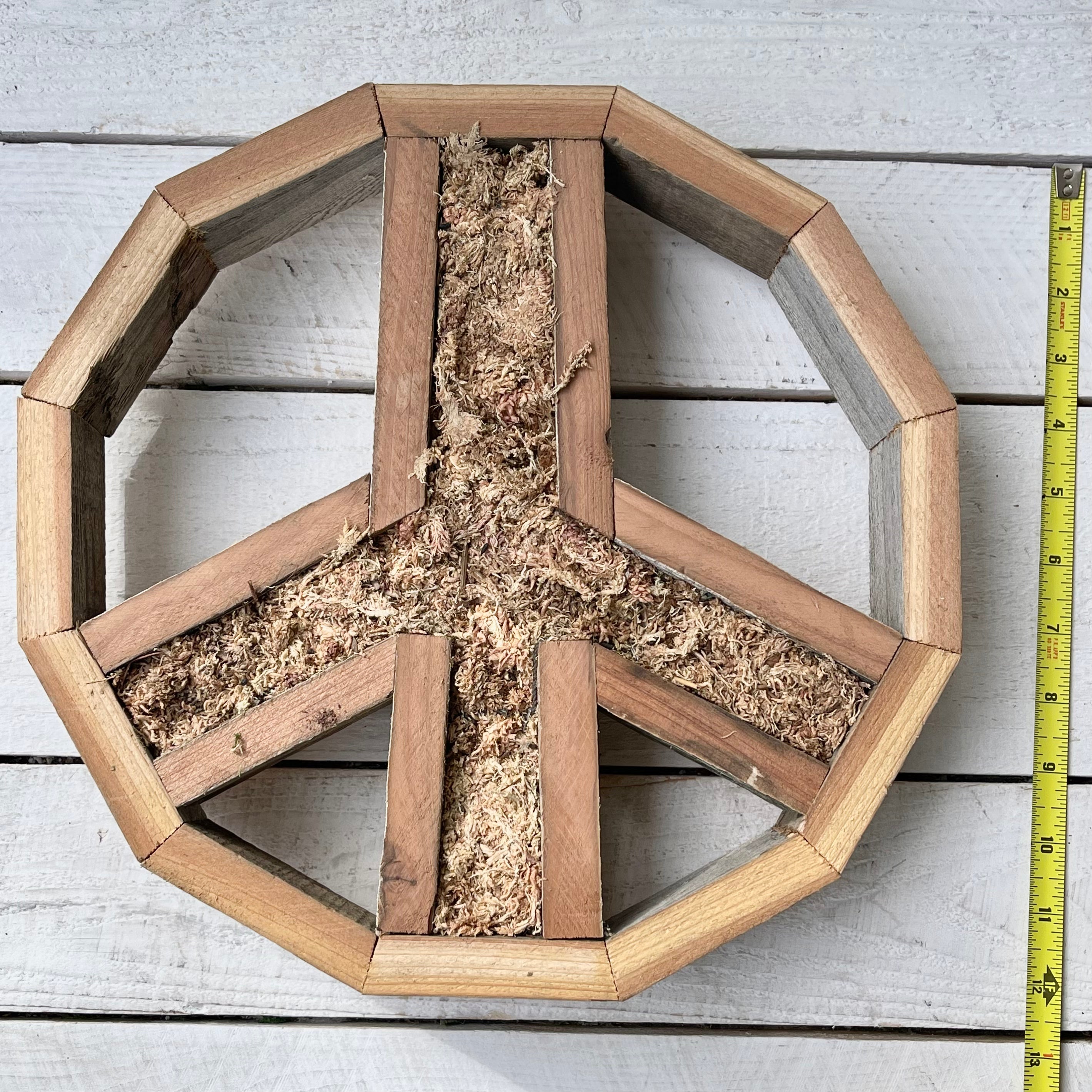 Unplanted Vertical Garden Peace Sign - Succulent Artworks